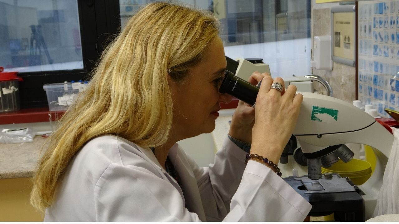 Prof. Dr. Sıla Akhan'dan uyarı: İnfluenza pik yaptı - İzmir Gazetesi